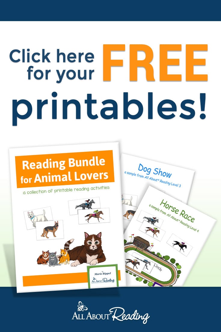 Animal Activity Bundle