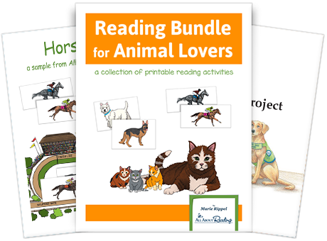 Animal Activity Bundle