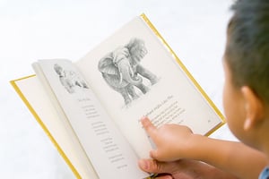 All About Reading Pre-Reading