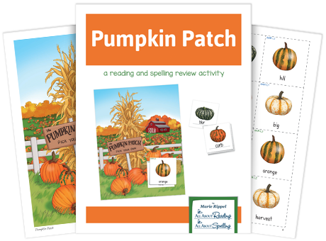 Pumpkin Patch Activity