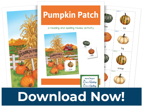 Pumpkin Patch Activity